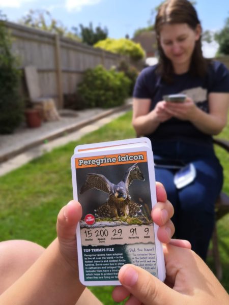Review ~ UK Wildlife Top Trumps | Mummy's Waisted
